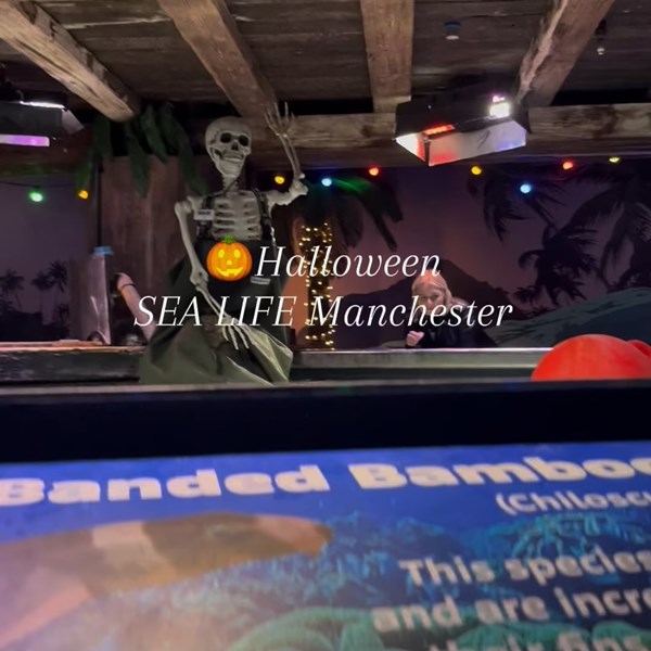 Archie's Atomic Roller Rink opening 7 November! - Trafford Palazzo